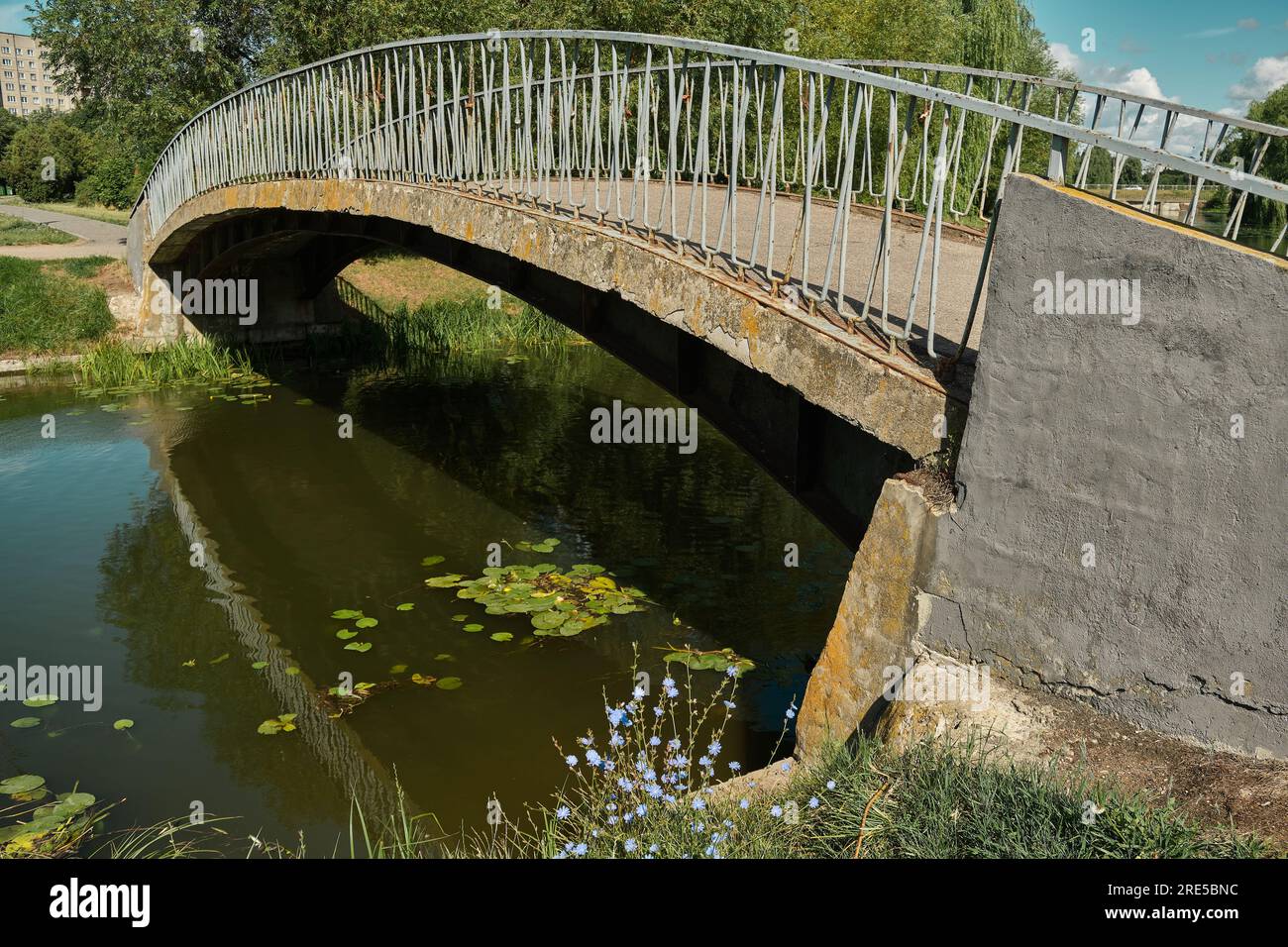 Bow bridge in Central park at spring sunny day Stock Photo - Alamy