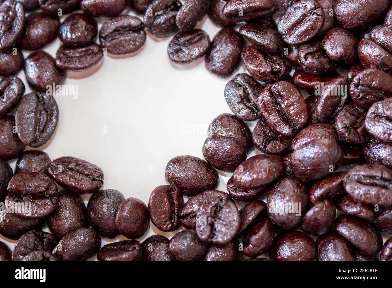 coffee beans on a white background and a white circle on the left side ...