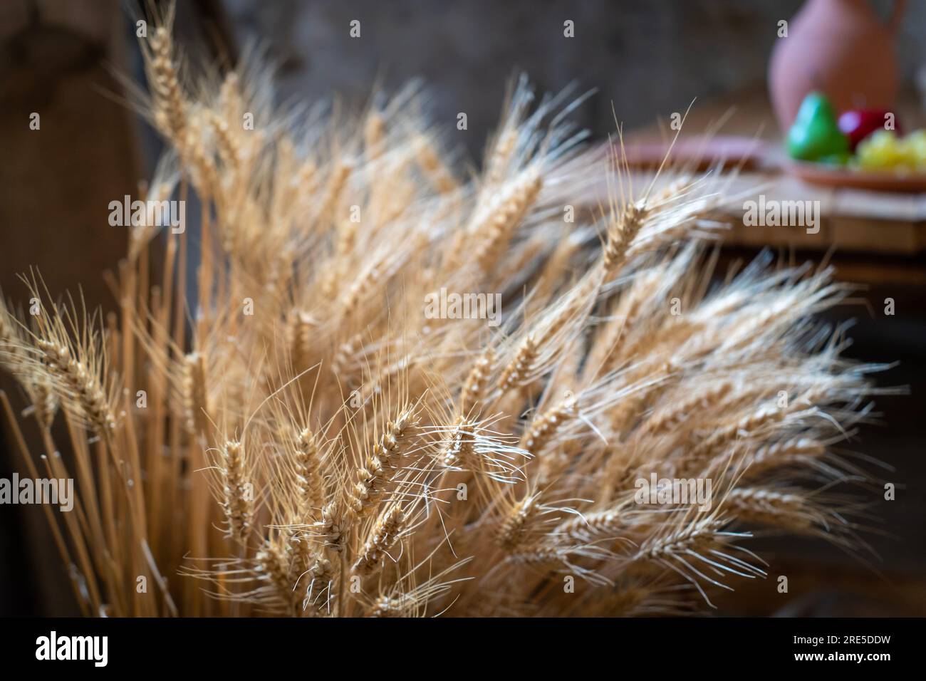 Ripe grain gathered in a bunch Stock Photo - Alamy