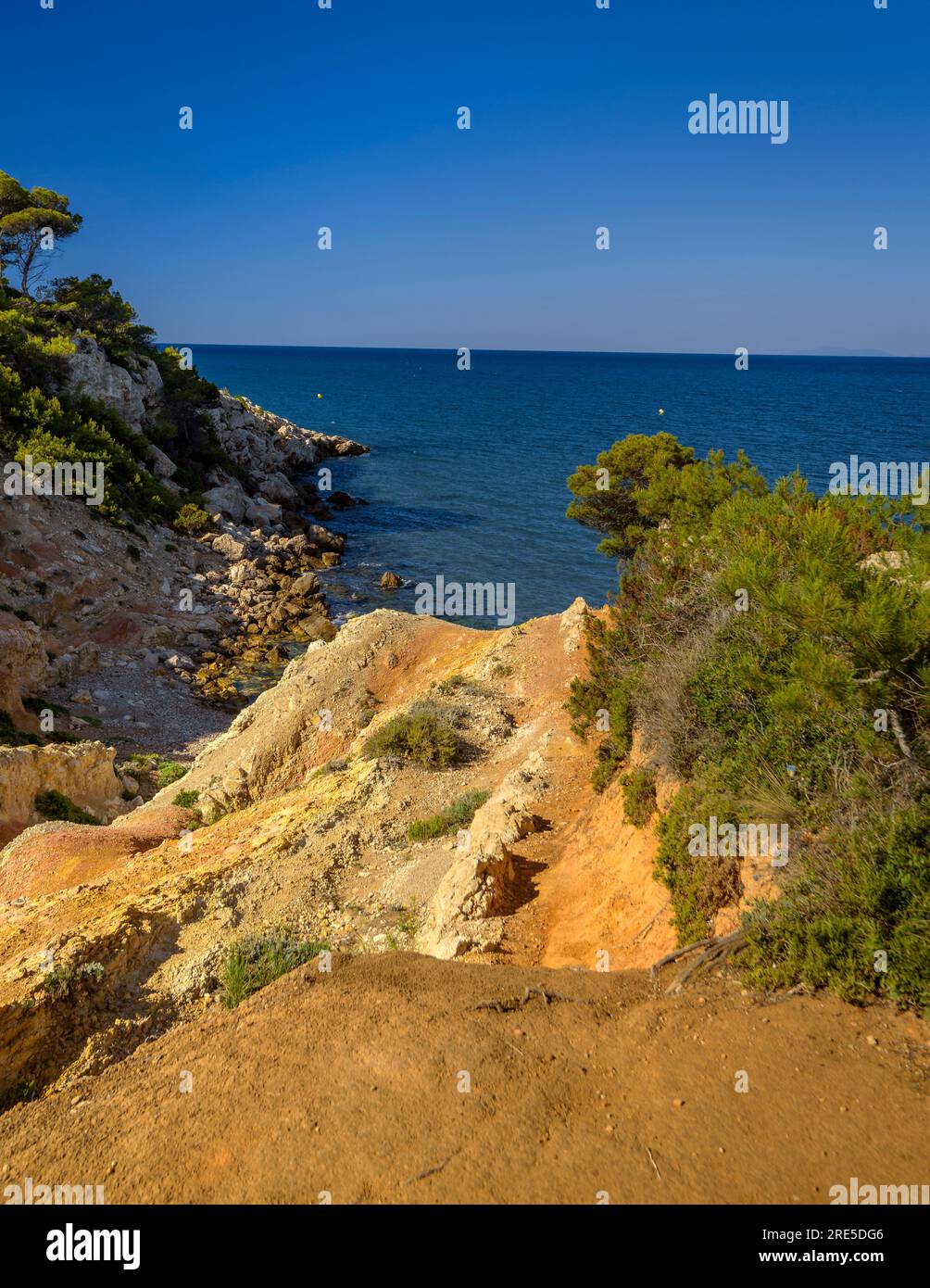 Flore de la mer hi-res stock photography and images - Alamy