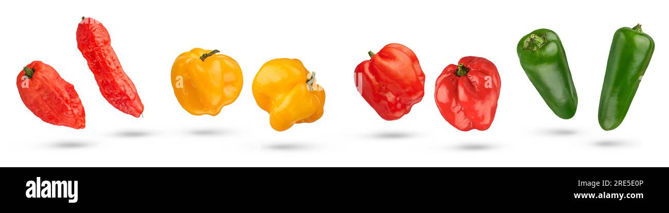 A set of peppers of different varieties, colors and sizes isolated on a ...