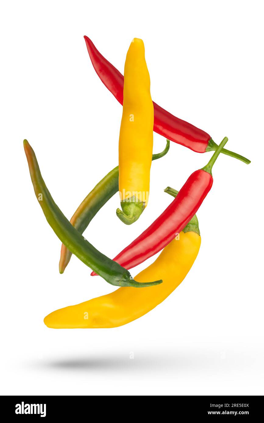 Pods of different colors hot peppers of various sizes and shapes fall ...