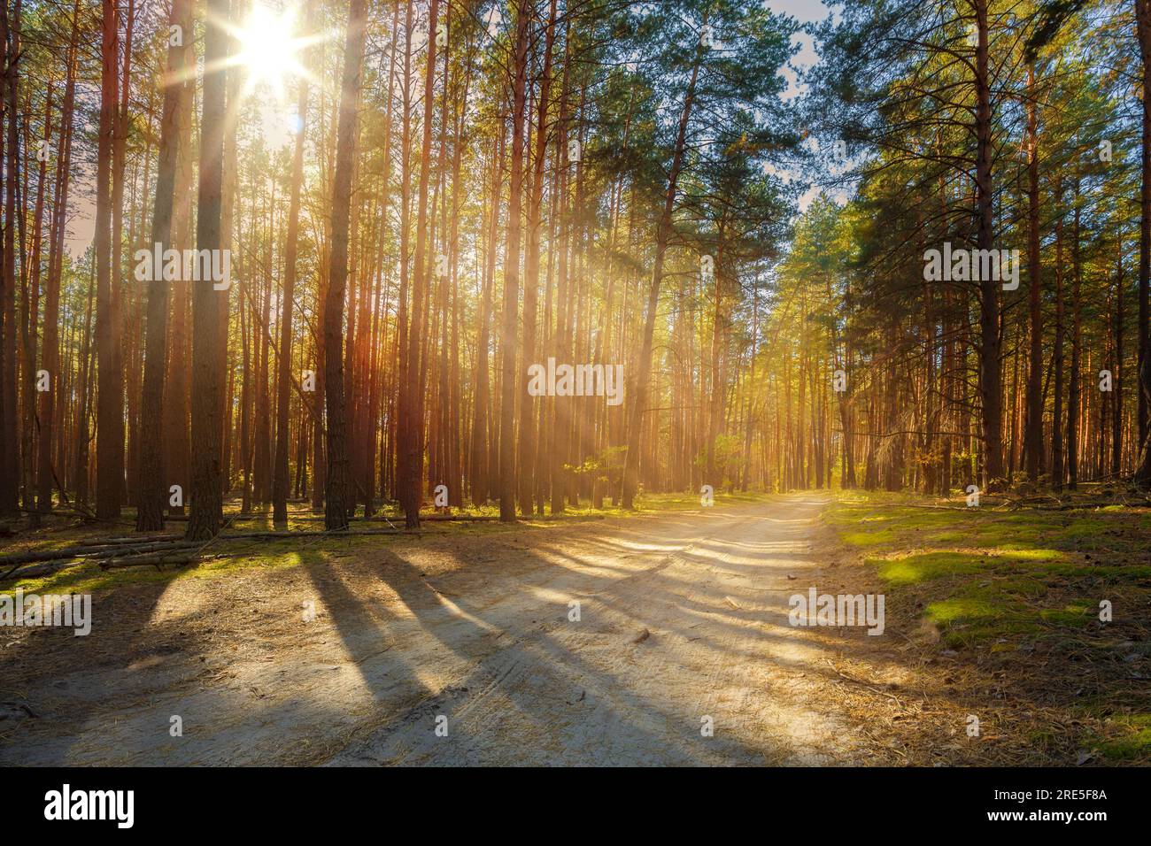 Empty road with sunbeams hi-res stock photography and images - Alamy