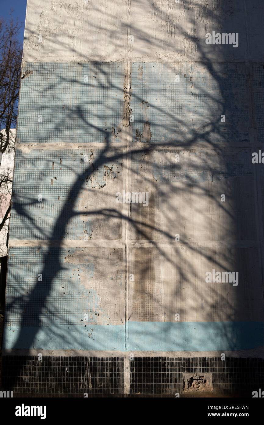 Shadow of tree on building. Sun shadow on wall. Silhouette of large ...