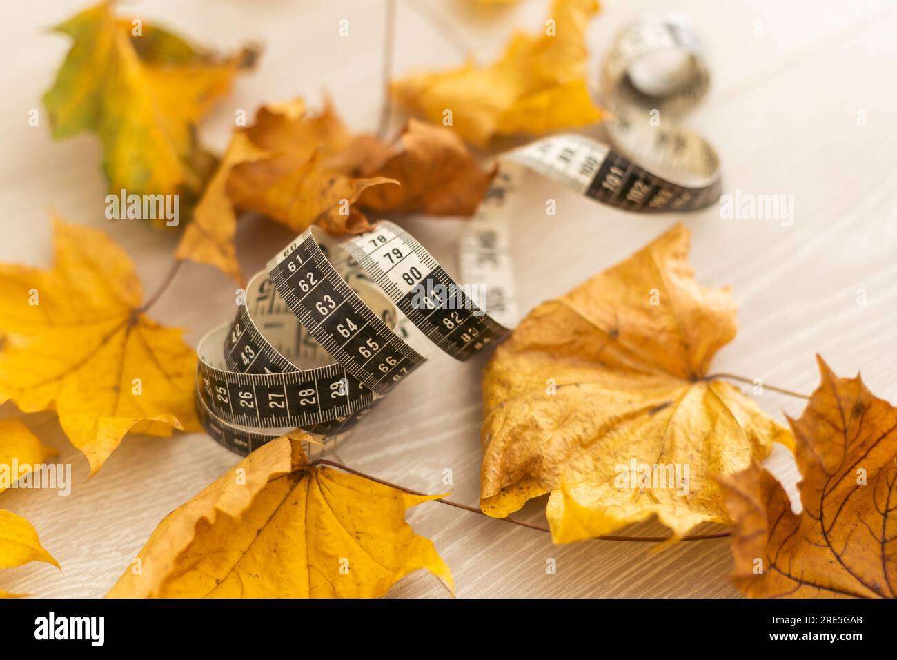 dry autumn leaves and measuring tape Stock Photo - Alamy