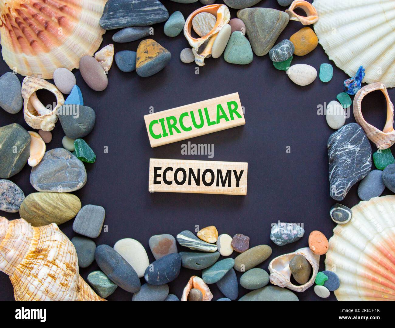 Circular economy symbol. Concept words Circular economy on beautiful ...