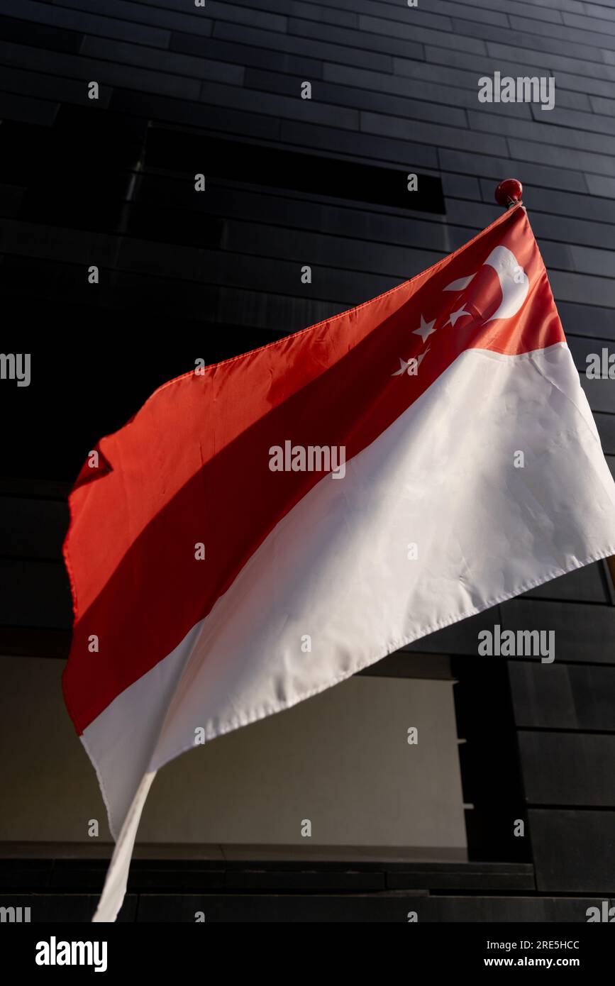 Singapore flag isolated on black background with clipping path. flag ...