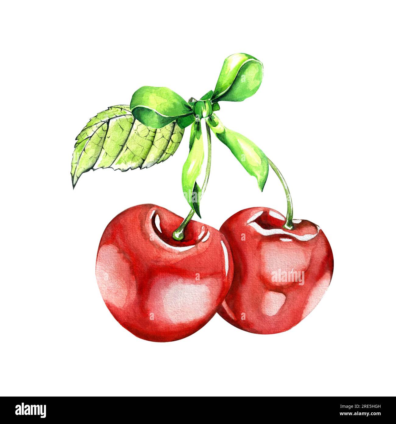 a set of watercolor illustrations of cherries. juicy bright cherry ...