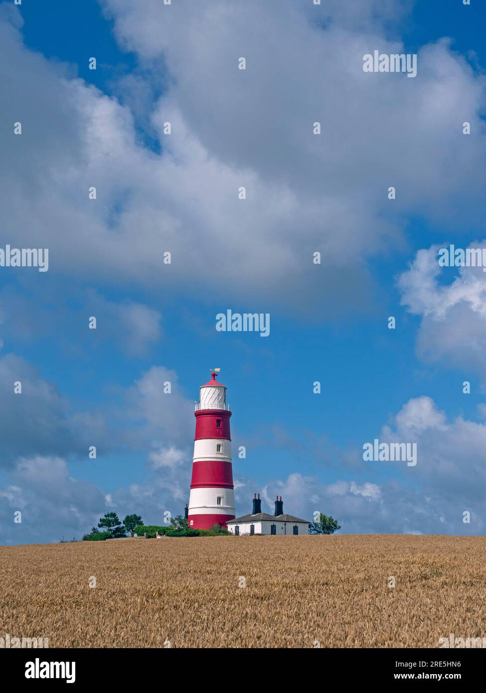 A field of ripening wheat and Light House Happisburgh Norfolk UK Stock ...