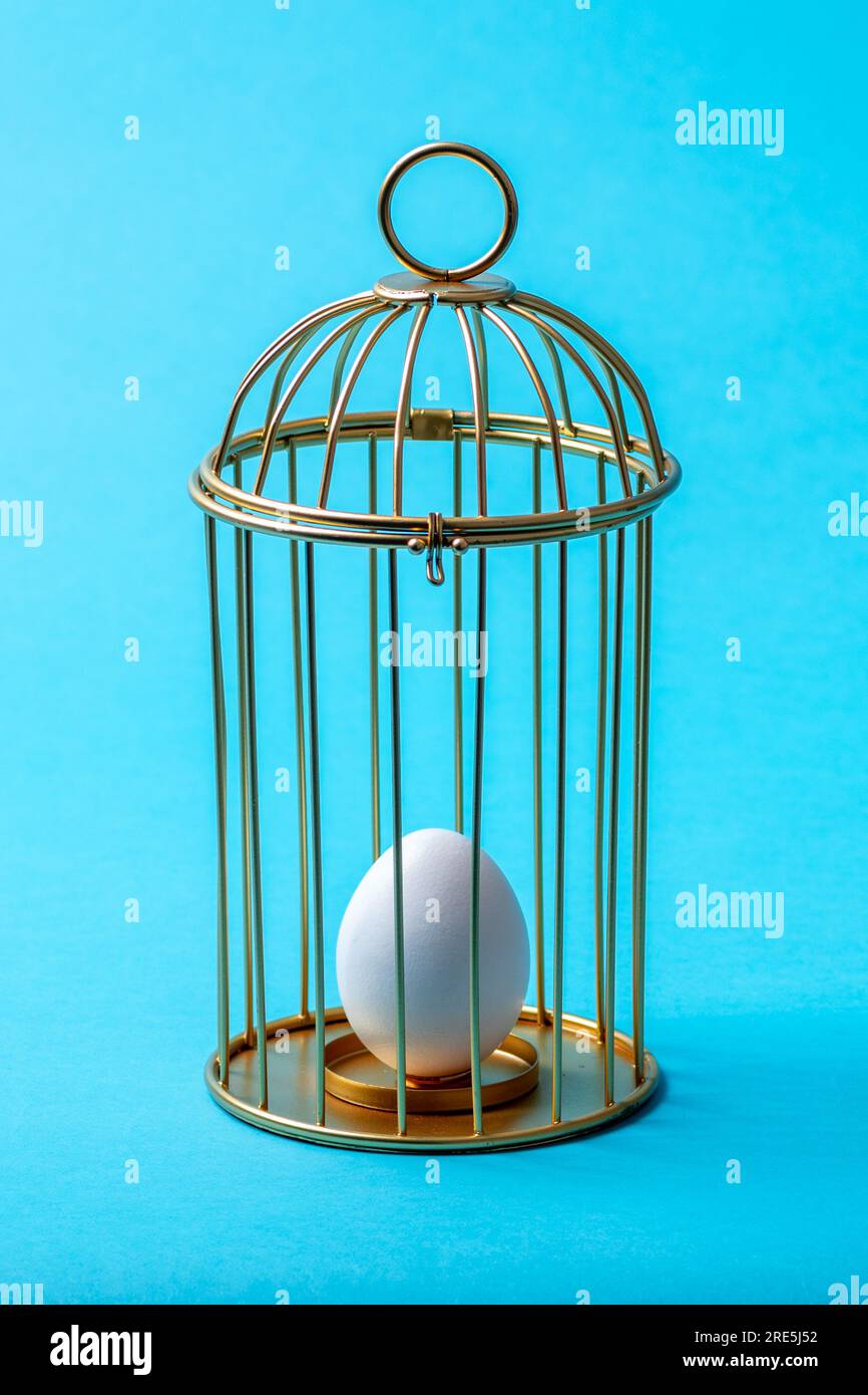 A cage with an egg inside on a blue background. The concept of slavery ...