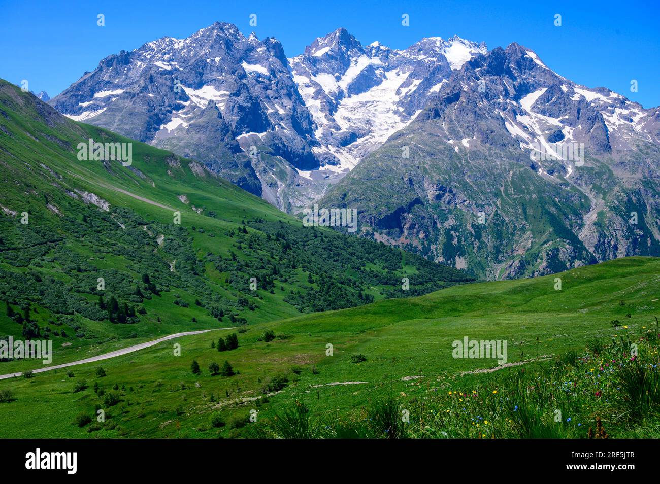 Mountains and green alpine meadows views near Col du Lautaret, Massif ...