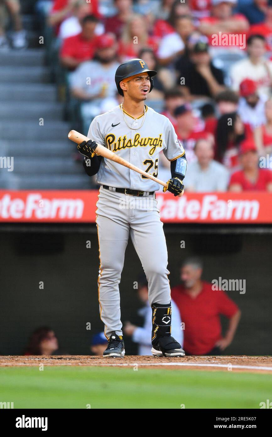 ANAHEIM, CA - JULY 22: Pittsburgh Pirates catcher Endy Rodriguez (25 ...