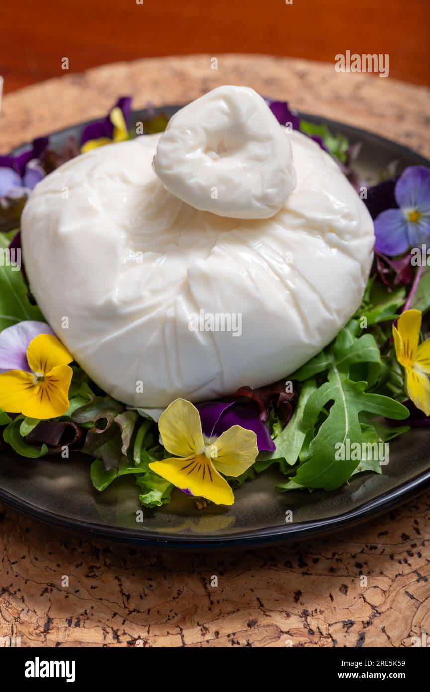 Fresh handmade soft Italian cheese from Puglia, white ball of burrata ...