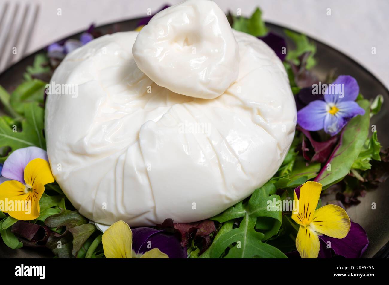 Fresh handmade soft Italian cheese from Puglia, white ball of burrata ...