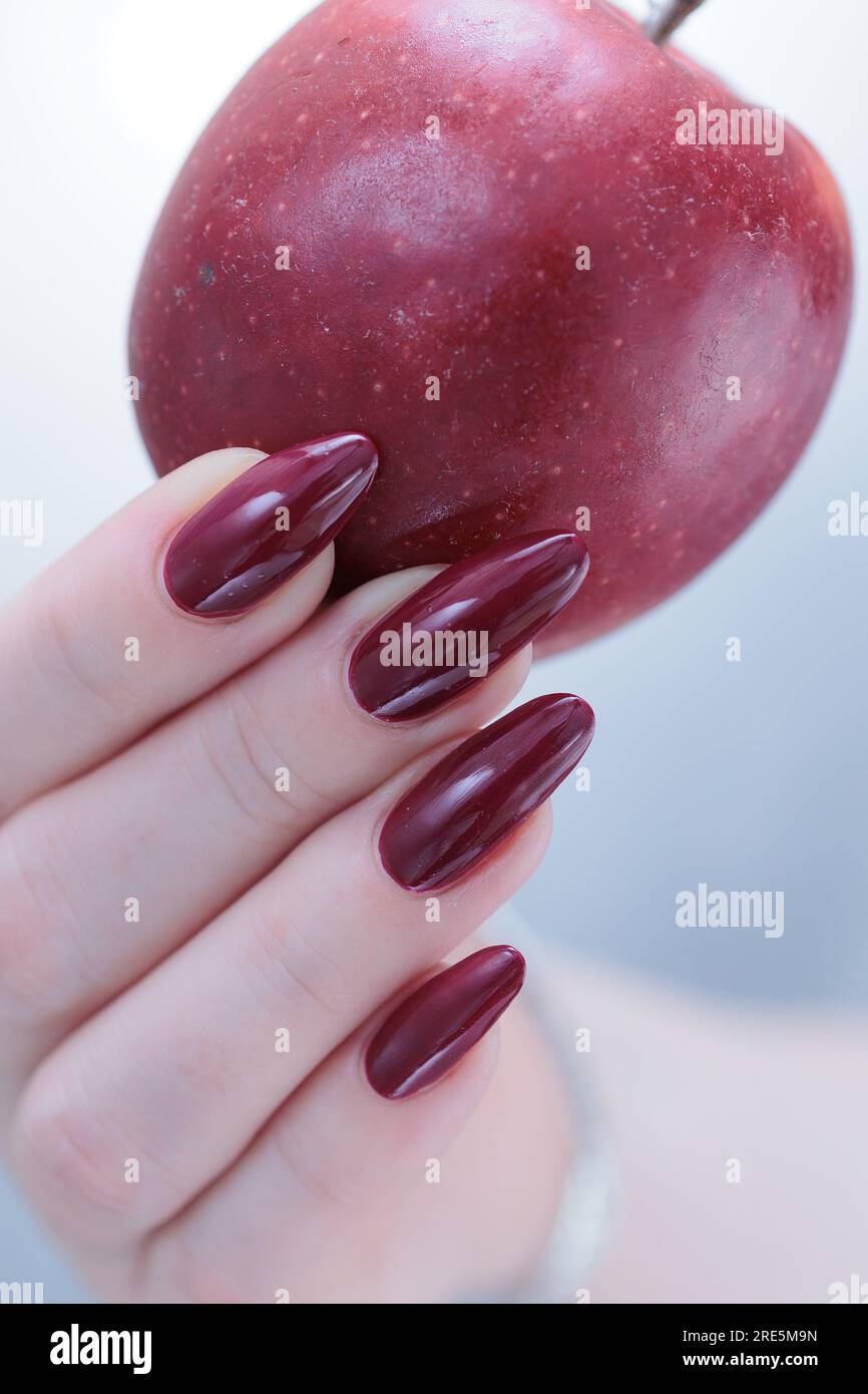 Woman's hands with red long nails are holding a ripe red apple fruit ...