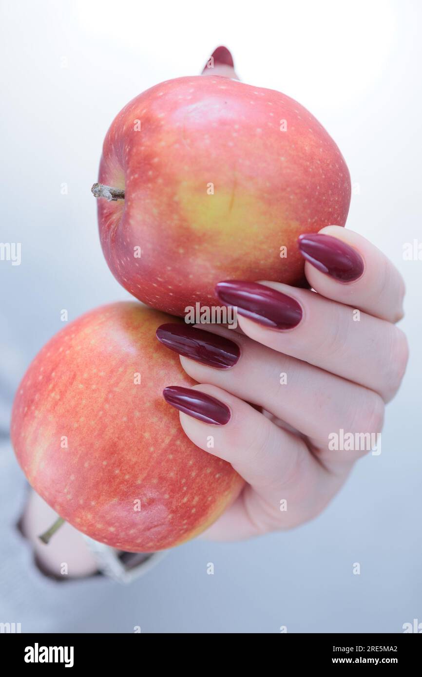 Woman's hands with red long nails are holding a ripe red apple fruit ...