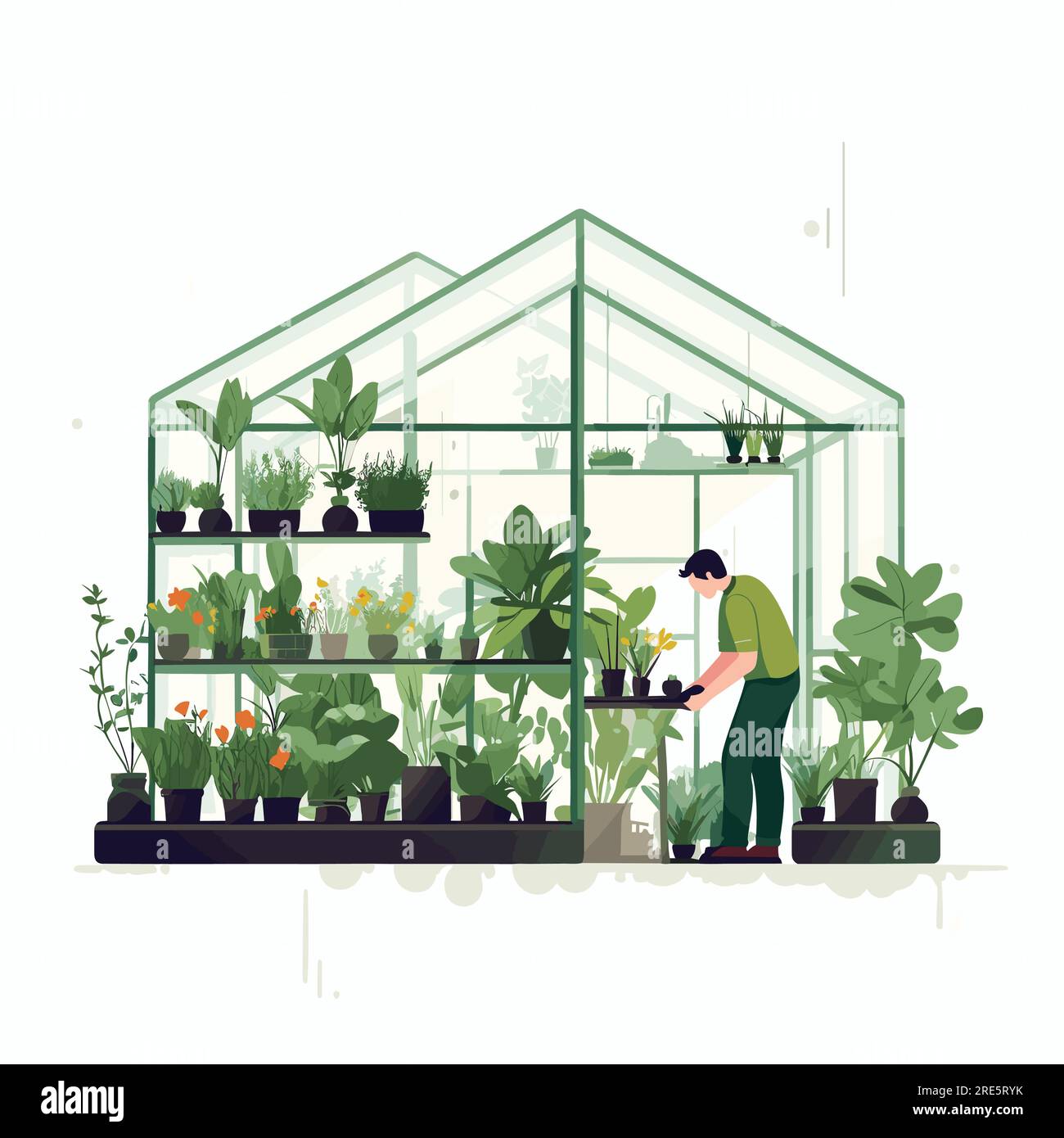 Greenhouse vegetable plant Stock Vector Images - Alamy