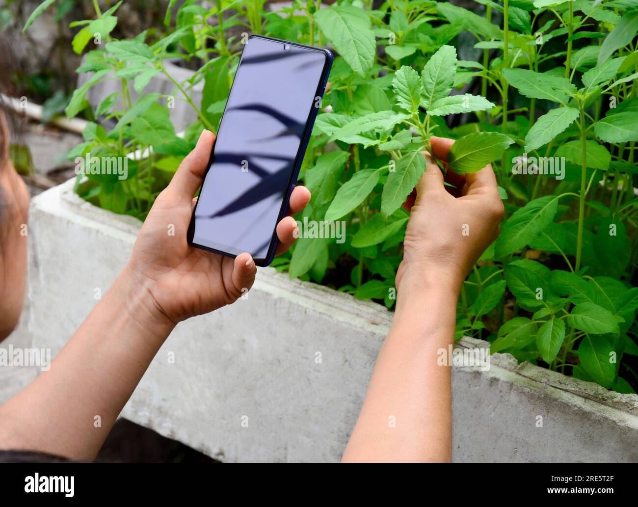 Concept Farm uses smartphones and applications to monitor yield and ...