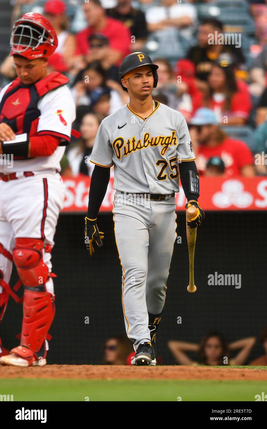 ANAHEIM, CA - JULY 22: Pittsburgh Pirates catcher Endy Rodriguez (25 ...
