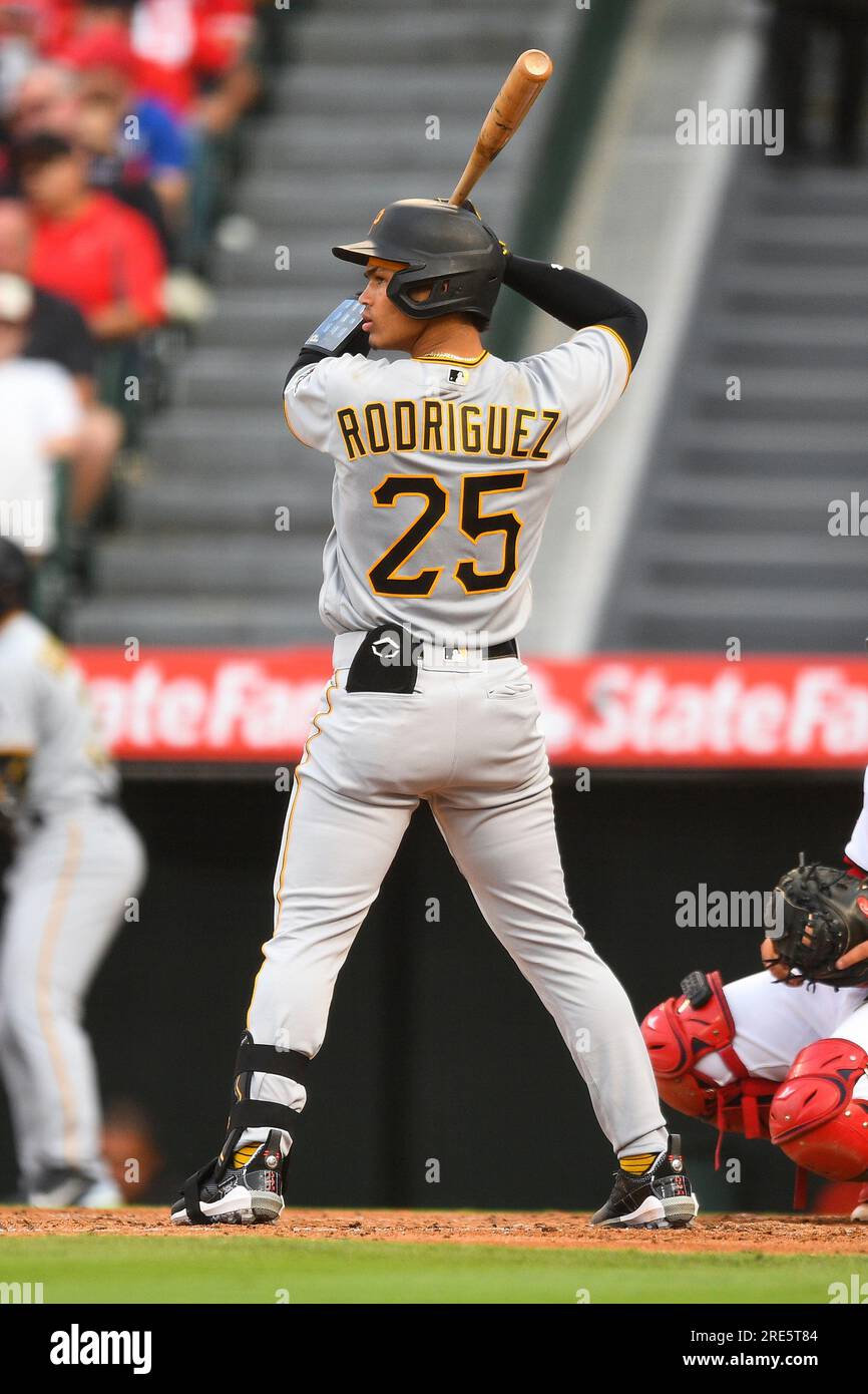 ANAHEIM, CA - JULY 22: Pittsburgh Pirates catcher Endy Rodriguez (25 ...