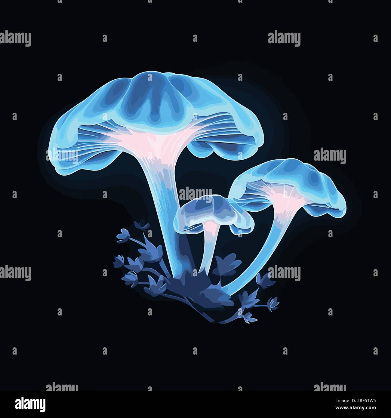 Bioluminescent mushroom fungus hi-res stock photography and images - Alamy