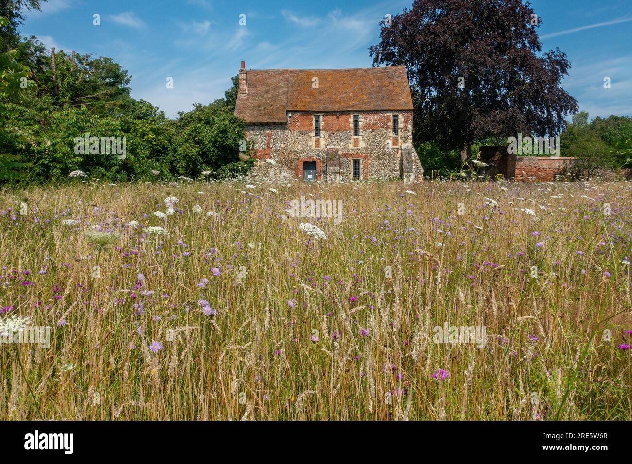 Greyfriars Chapel,Wildflower Meadow,Franciscan Gardens,Eastbridge ...