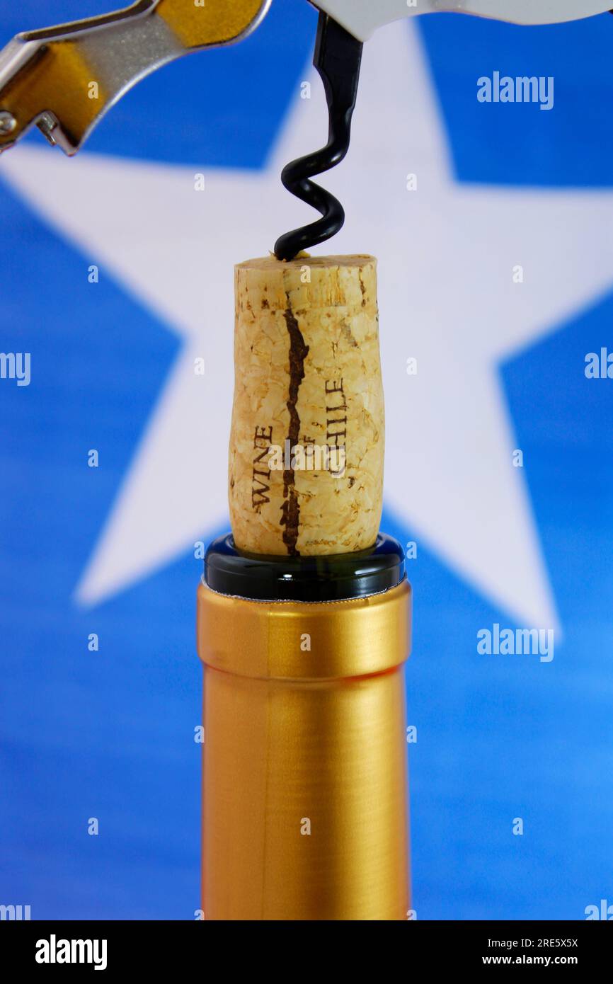 Wine of Chile and background flag Stock Photo - Alamy