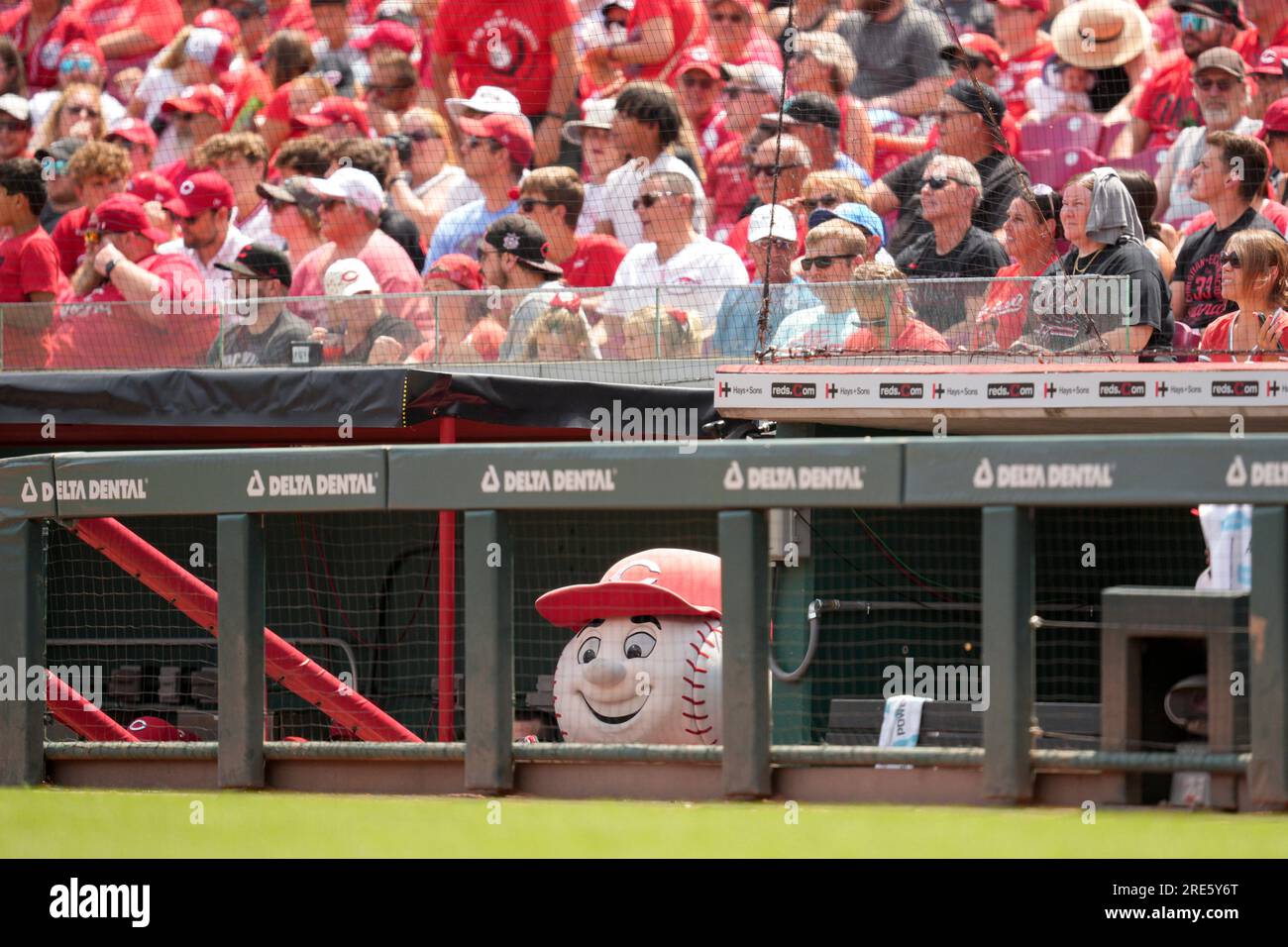 Cincinnati Reds mascot Mr. Red stands in the dugout during a baseball ...
