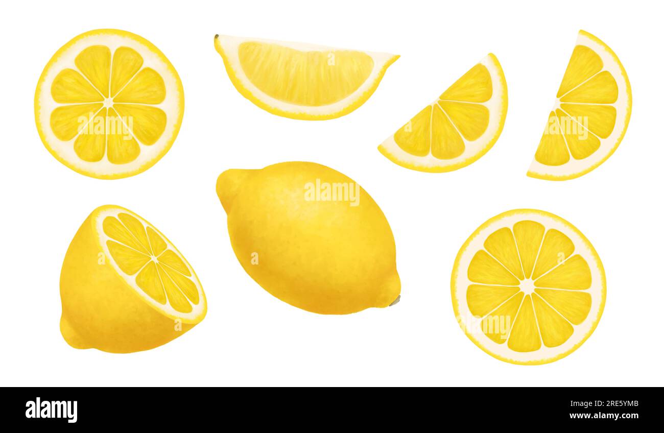 Lemons. Realistic illustration isolated on white. Whole, half and ...