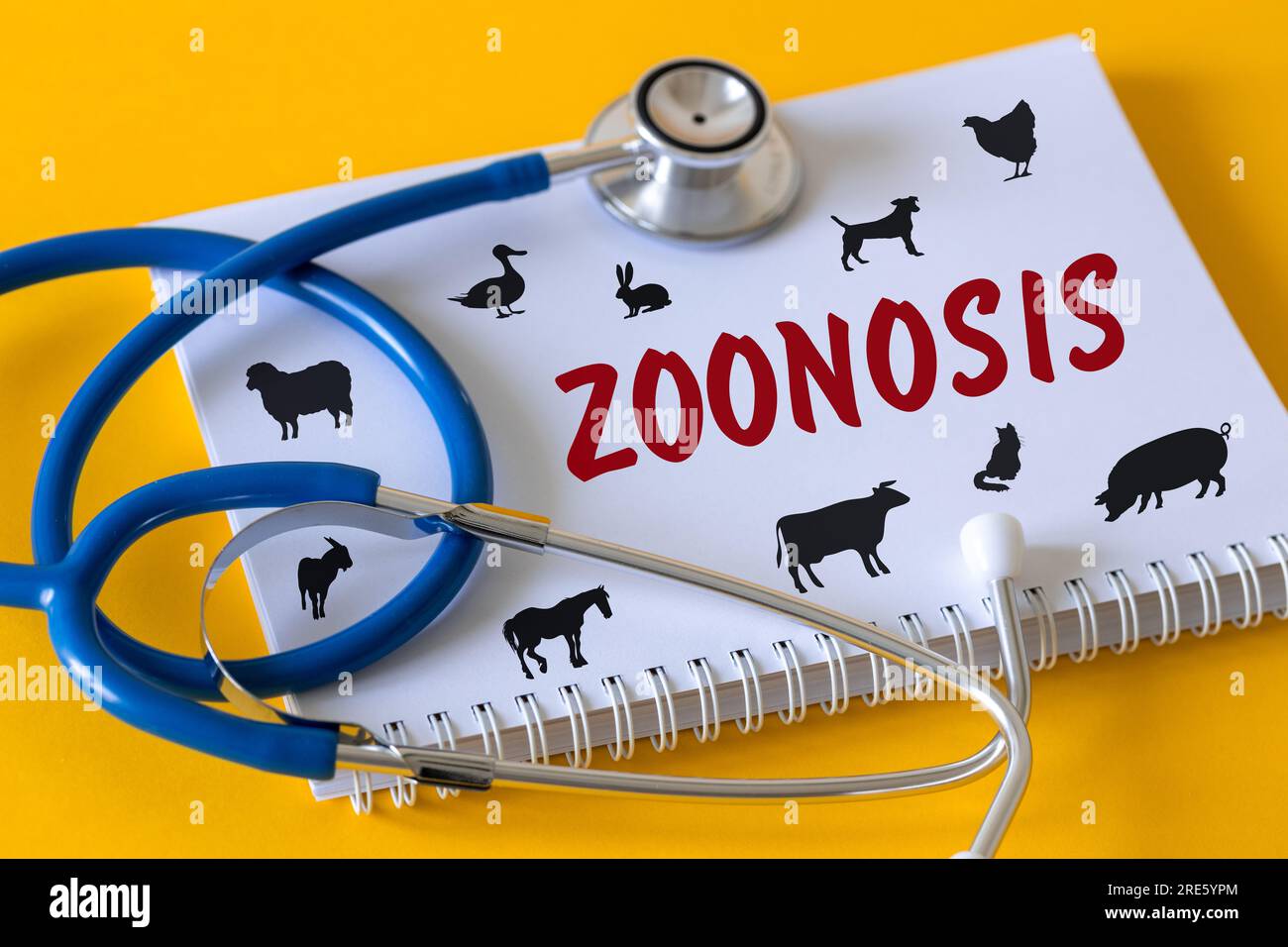 Zoonosis, Concept Zoonoses and infections transmissible from vertebrate ...