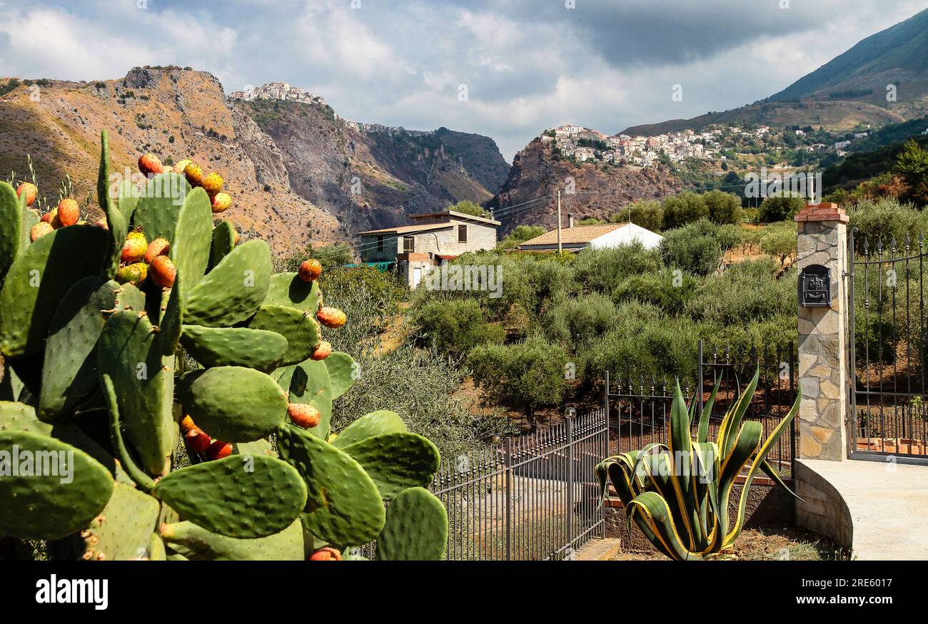 The old village of Maiera, Calabria, Italy with the Pollino massif in ...