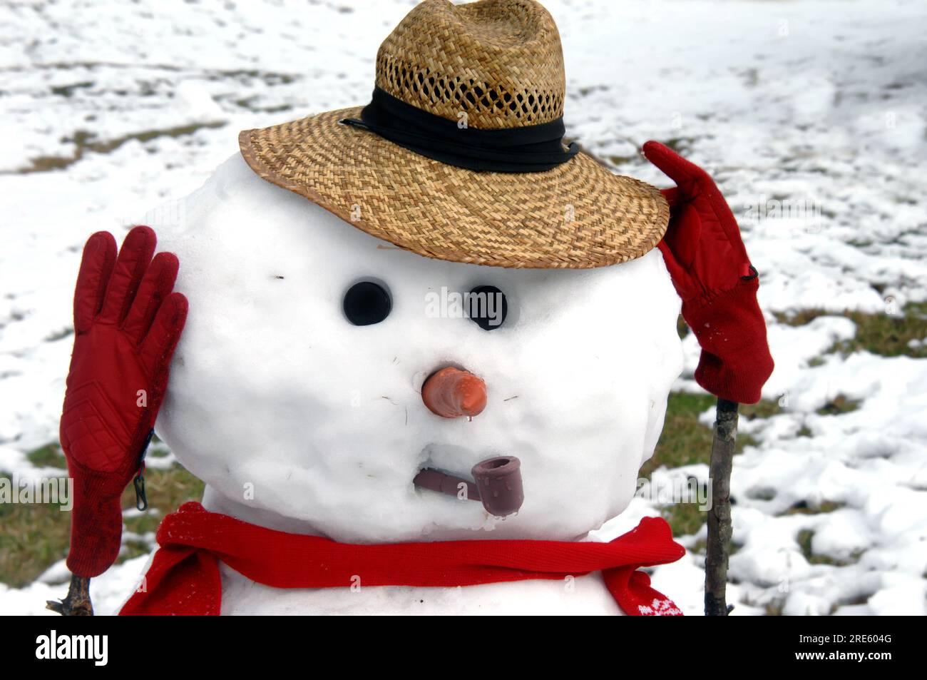 Distressed snowman holds his head with his red, gloved hands. He is ...