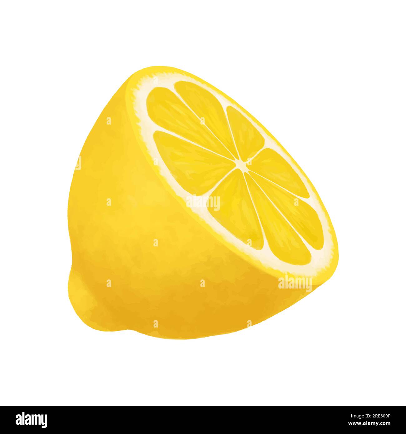 Half of a cut lemon. Vector realistic illustration isolated on white ...