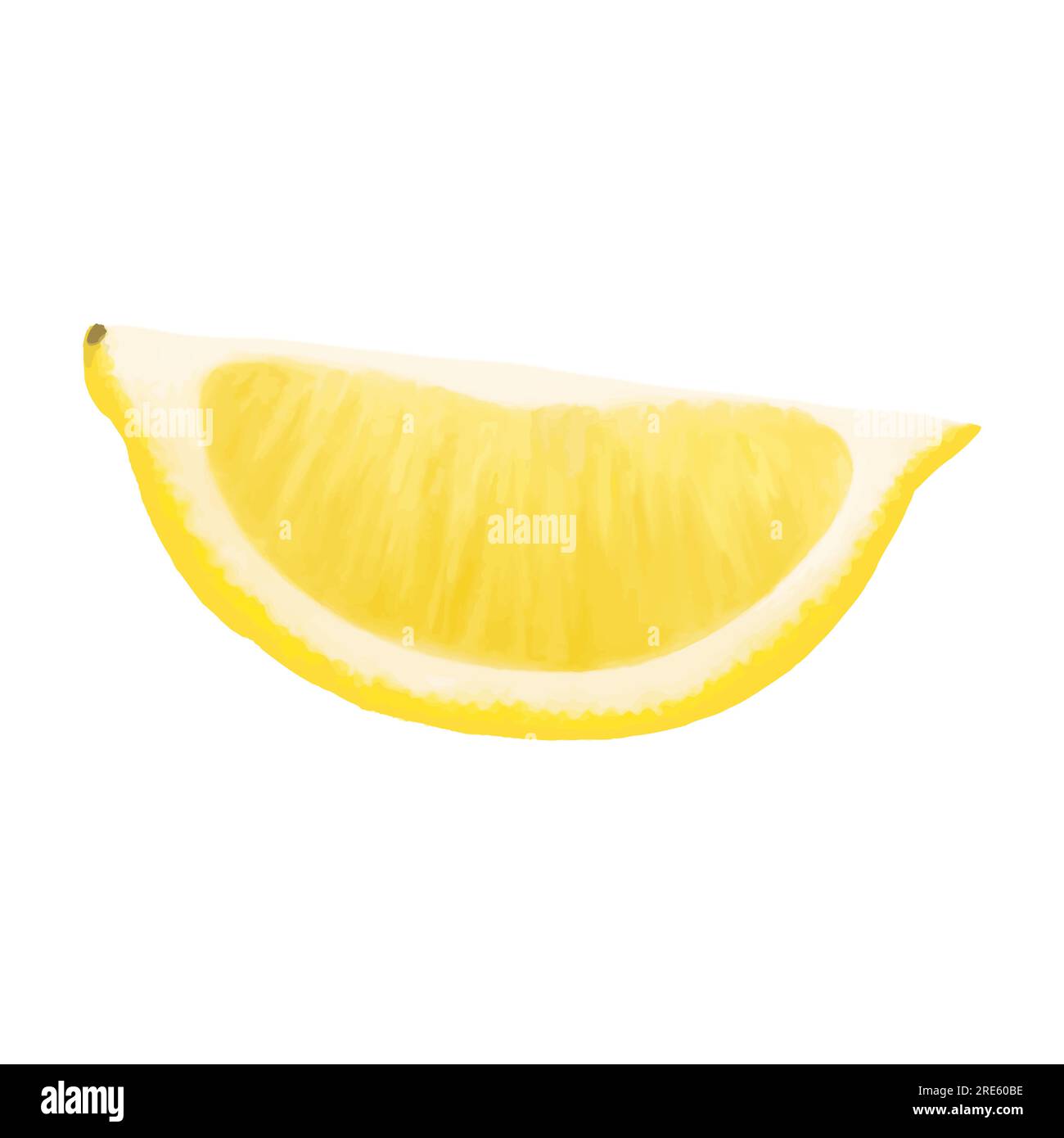 Lemon slice. Vector realistic illustration isolated on white background. Lemon eps icon clip art ...