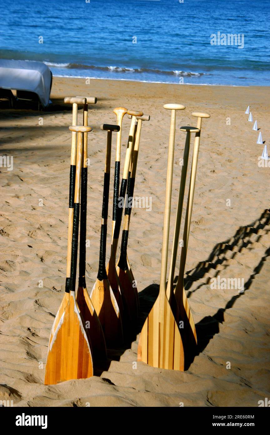 Group of oars stick out of the sand at the end of the day. Ocean and ...