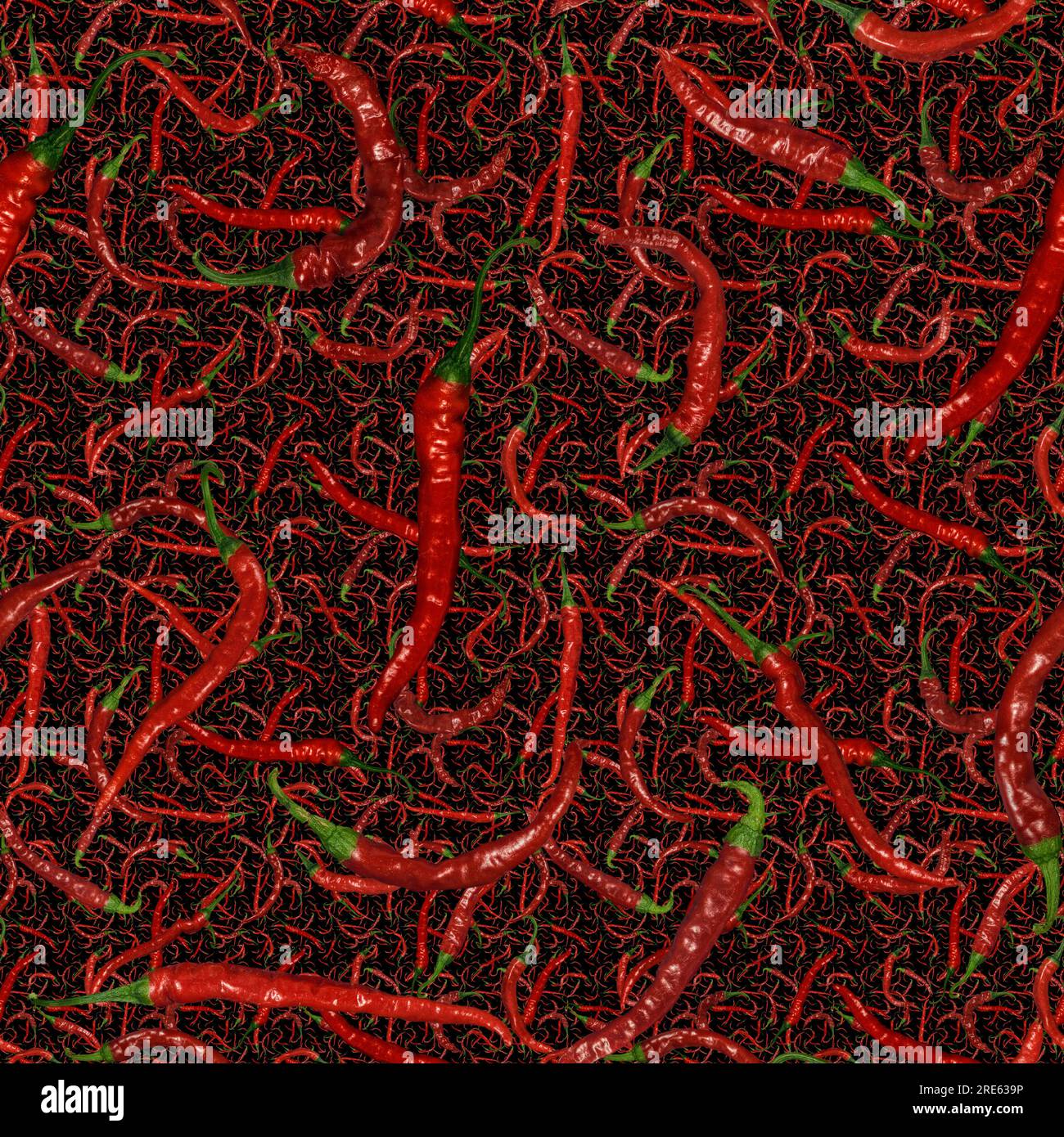 Seamless repeating pattern of red cayenne peppers on black background ...