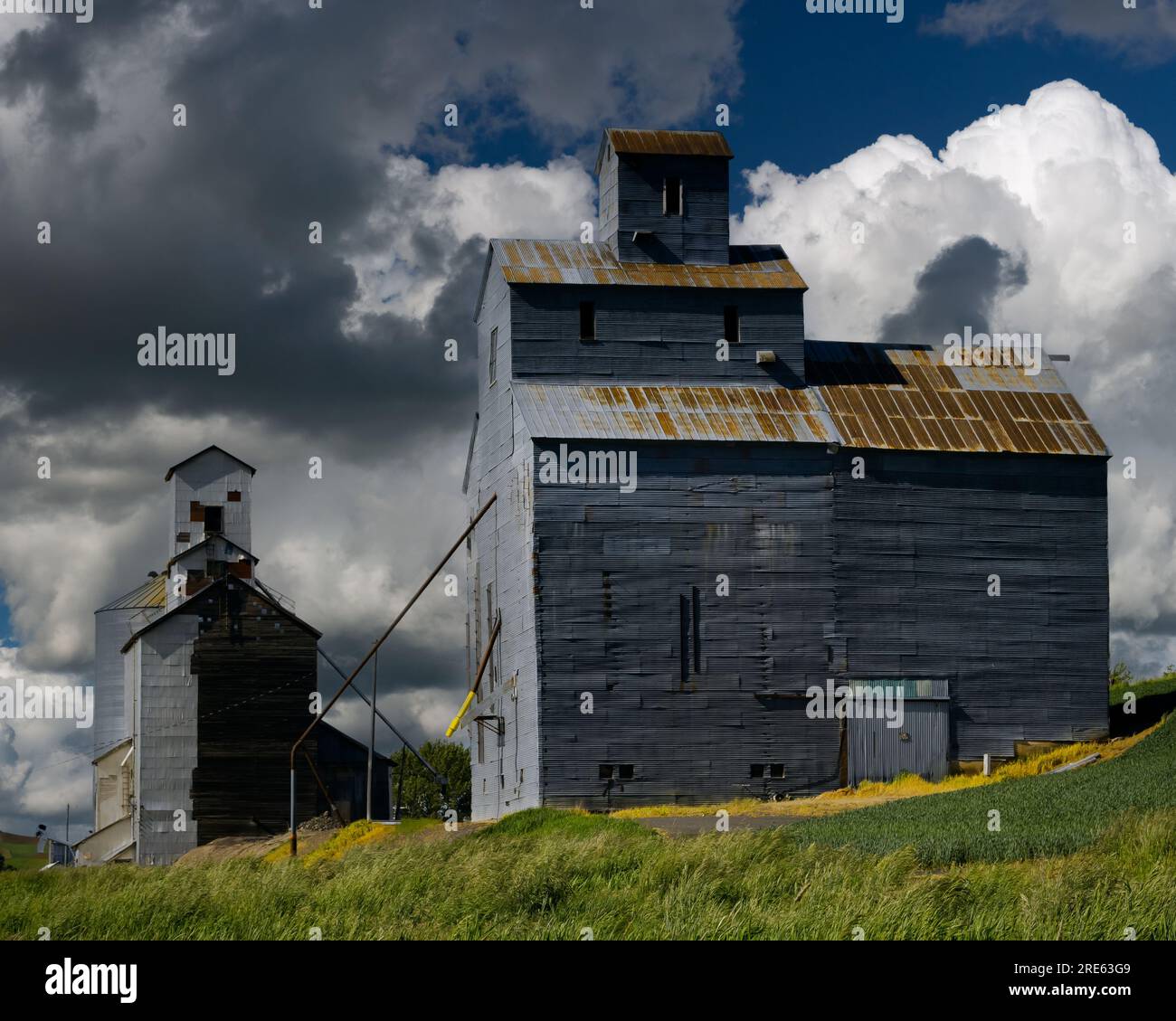 Pullman wa hi-res stock photography and images - Alamy