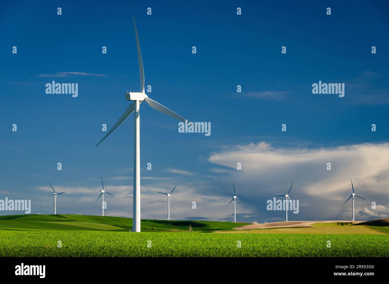 Wind turbines and wheat fields, Columbia County, Washington, USA Stock ...