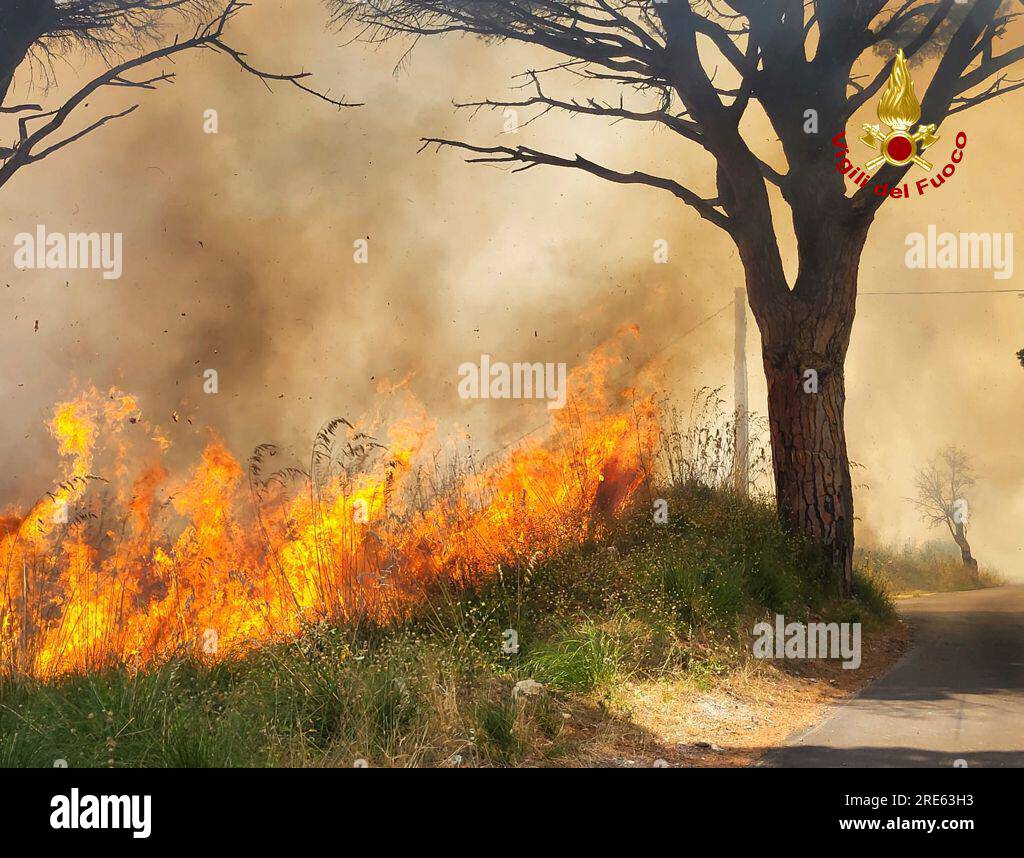 This picture released by the Italian firefighters shows wildfires in ...