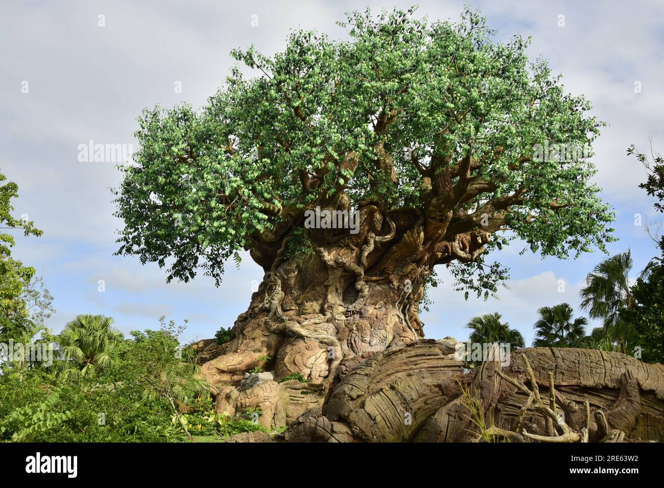 Urban jungle landscape hi-res stock photography and images - Alamy