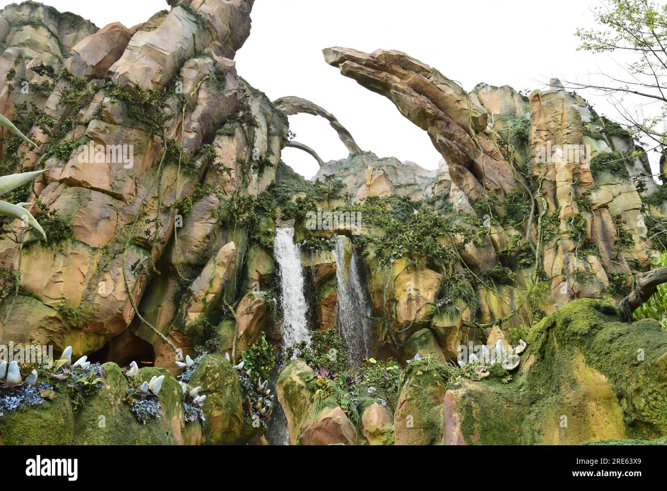 Jungle nature with waterfall and rocks Stock Photo - Alamy