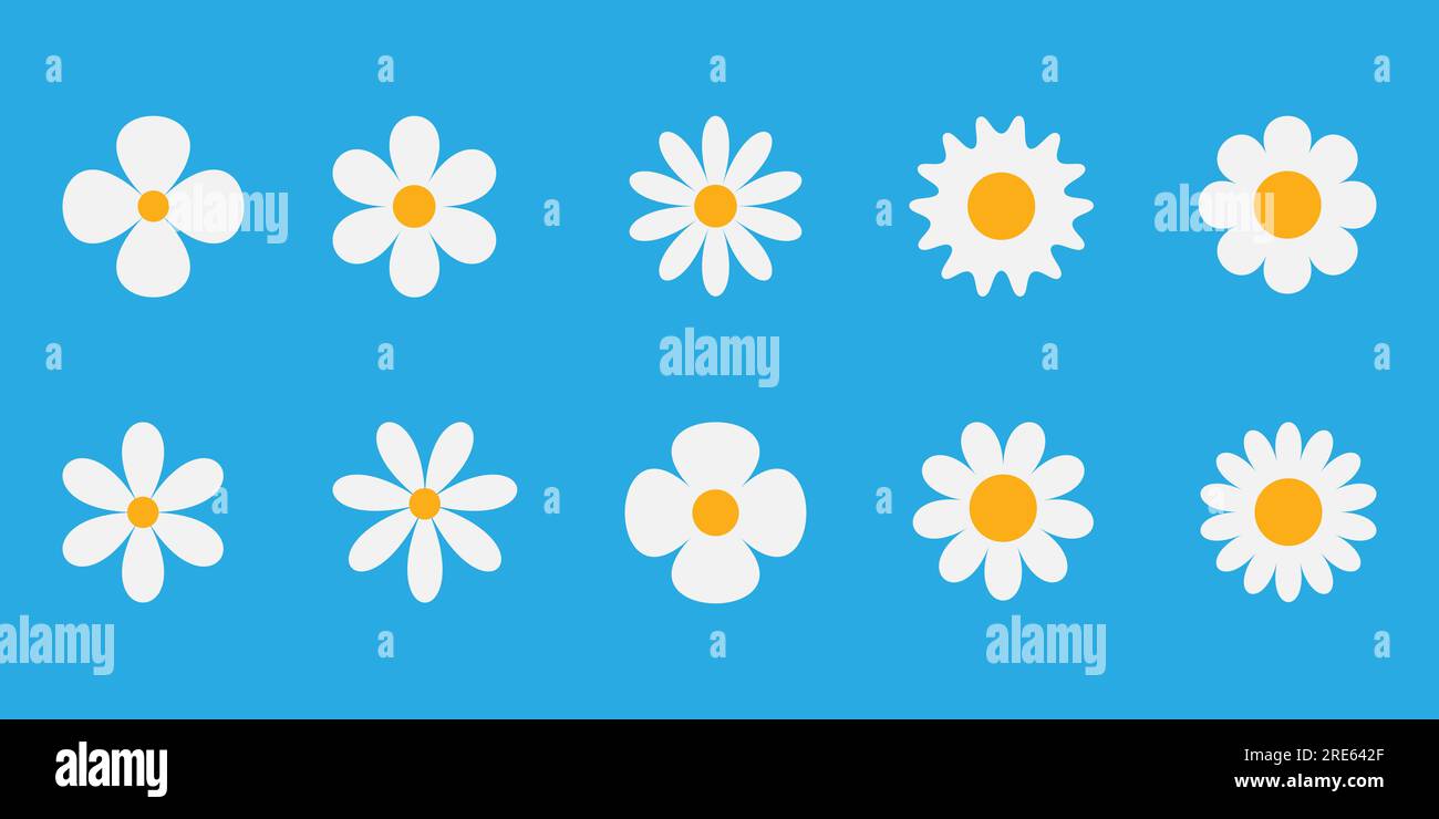 Set white daisy icons isolated, chamomile icon. Flat design Stock ...