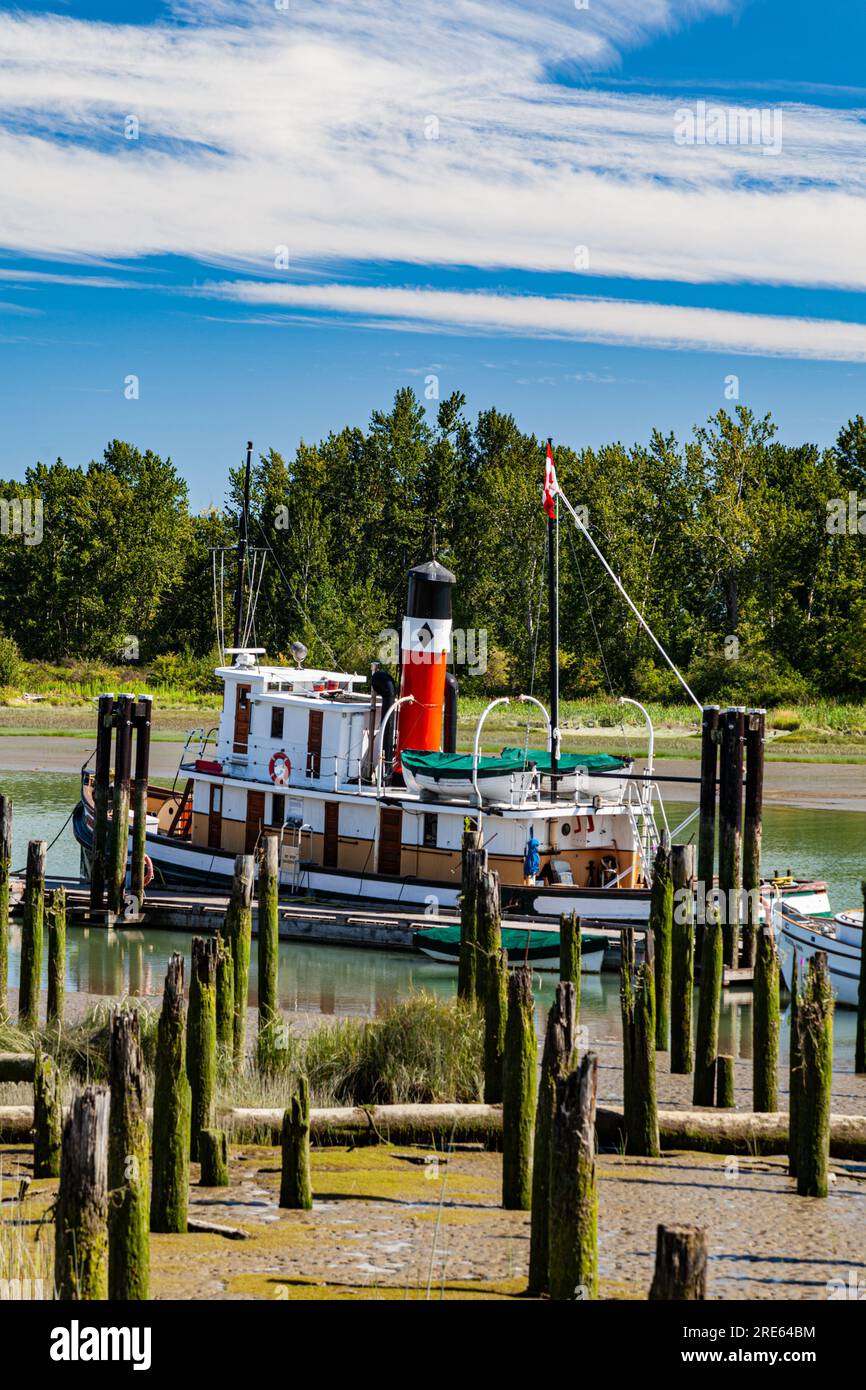 SS Master docked at the Britannia Ship Yard in Steveston at low tide ...