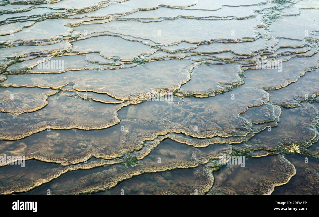 Water flowing over terraces at Mammoth Hot Springs in Yellowstone ...