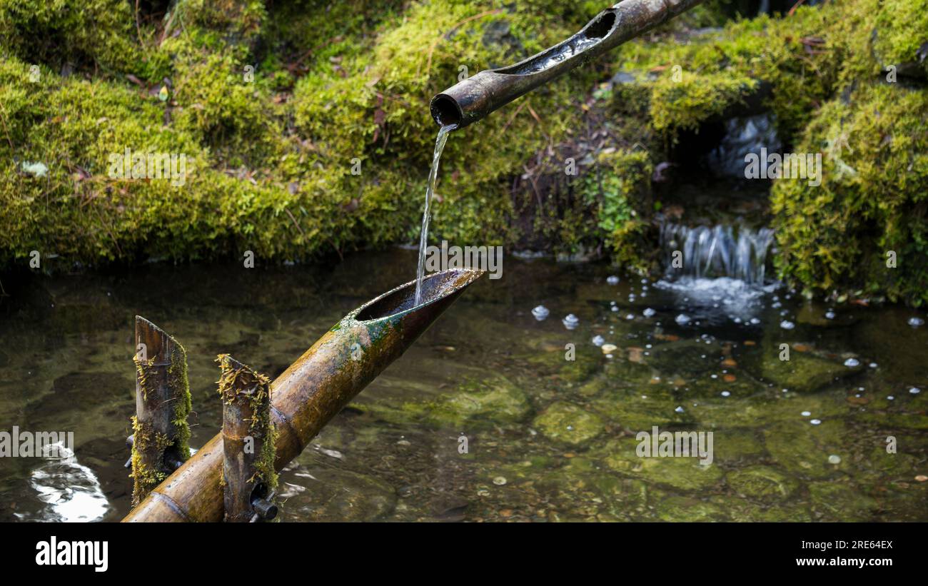 A bamboo shishi odoshi in the Japanese garden at Butchart Gardens in ...
