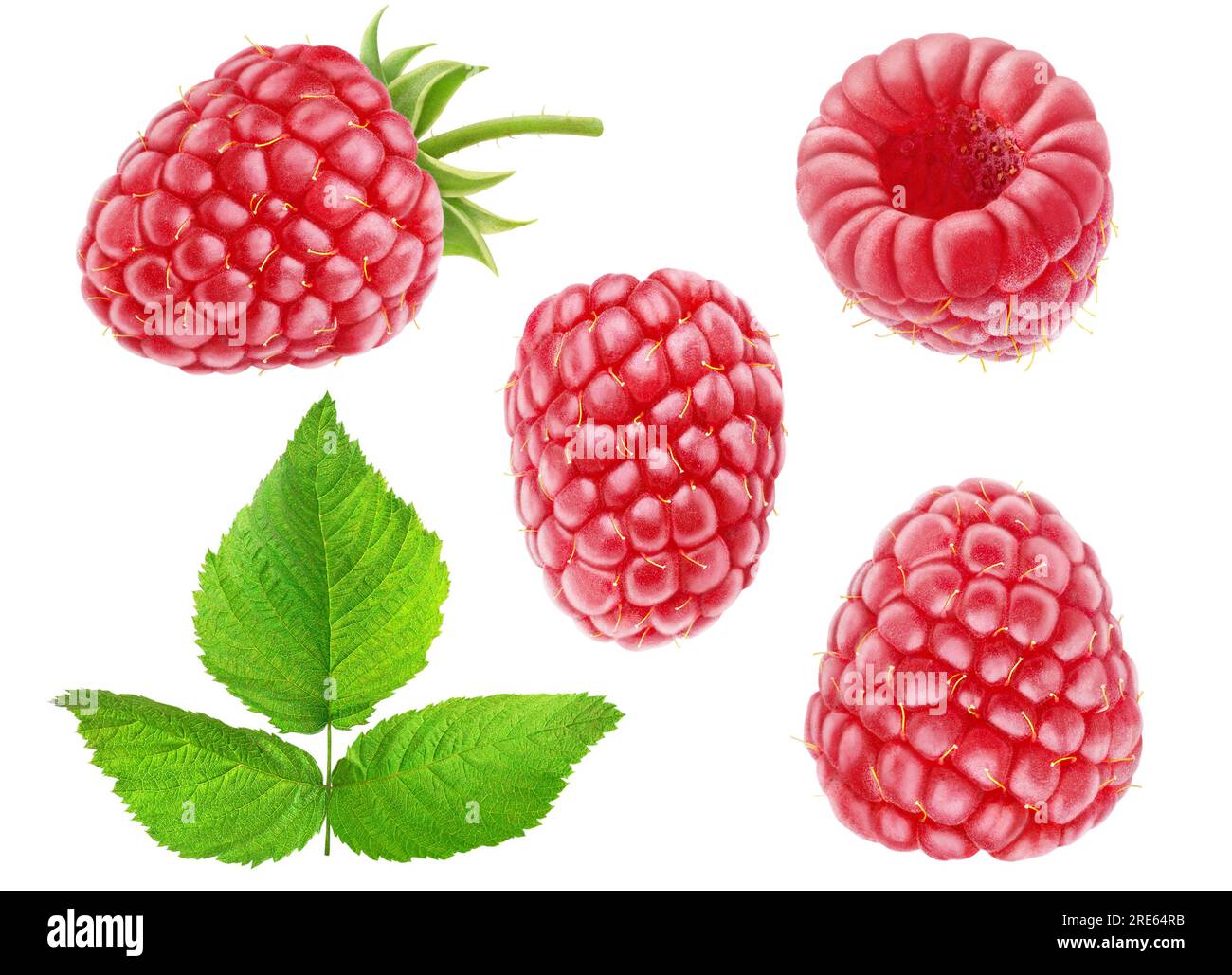 Collection of isolated raspberry fruits isolated on white background ...