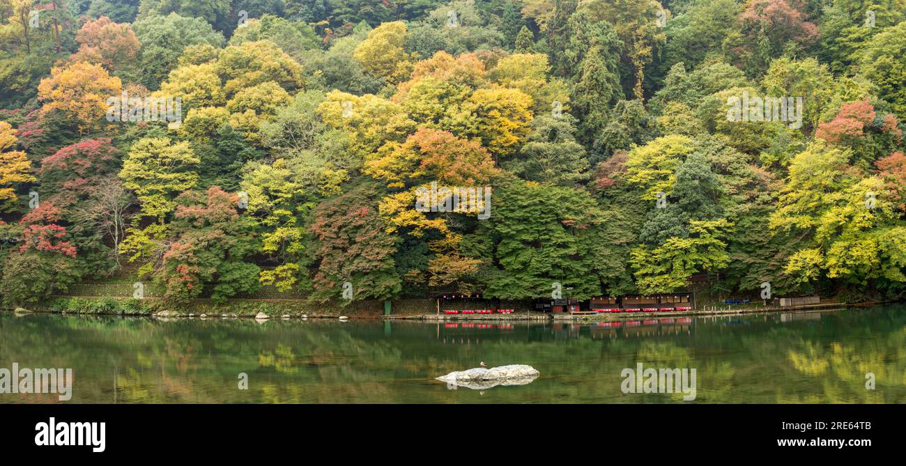 Autumn on the Oi River in Arashiyama, Kyoto, Japan Stock Photo - Alamy