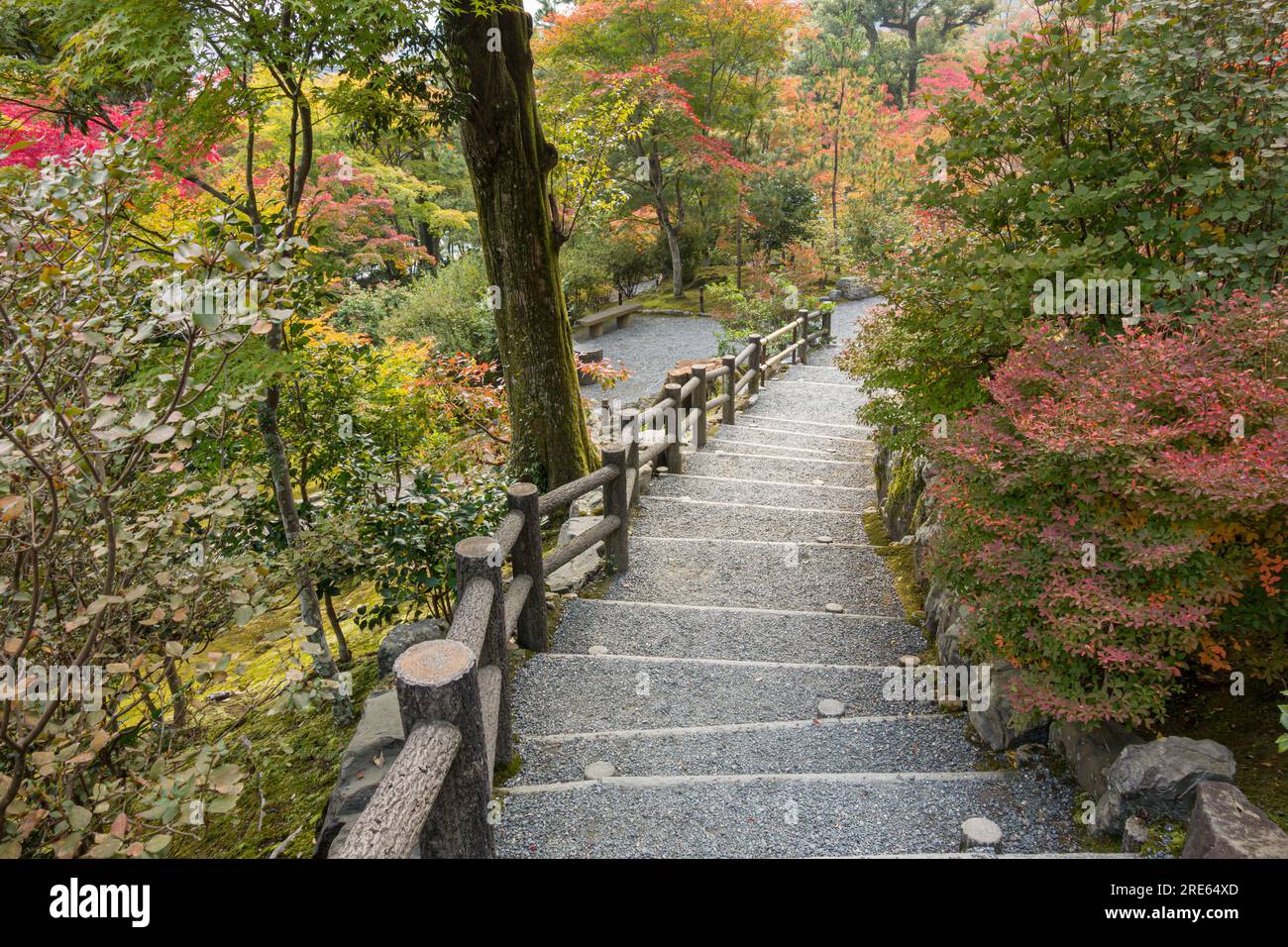 Stairs on a path in the garden at Tenryuji, at Buddhist temple in ...