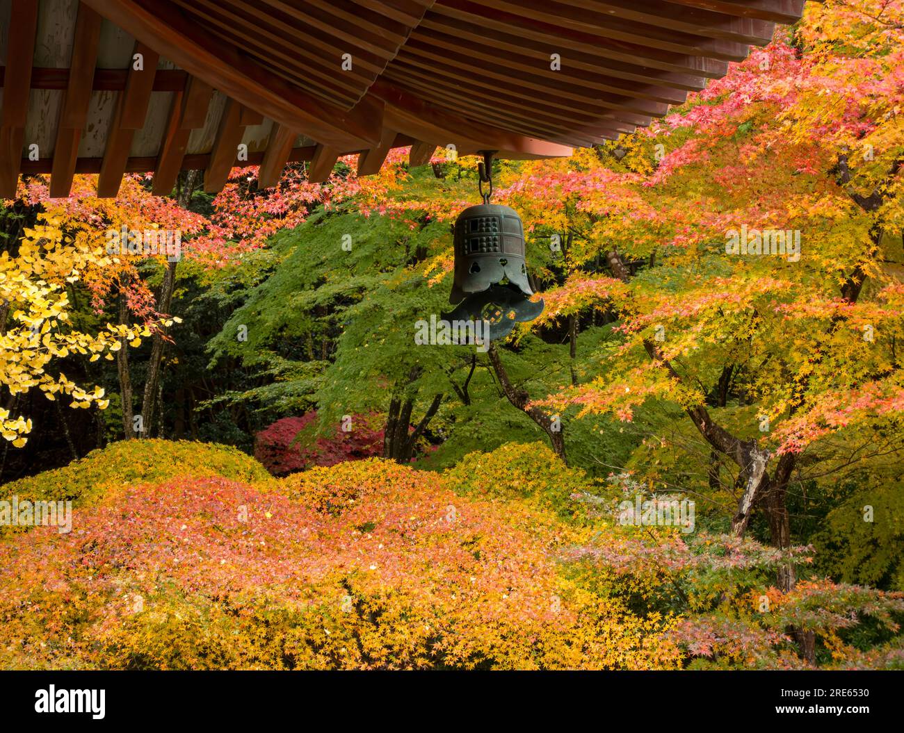 Fall color and a bell hanging from a building at Daigoji, a Buddhist ...