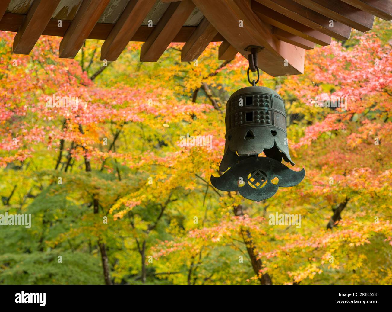 Fall color and a bell hanging from a building at Daigoji, a Buddhist ...
